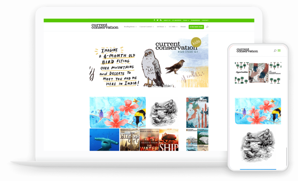 Experience - Pixelmattic
